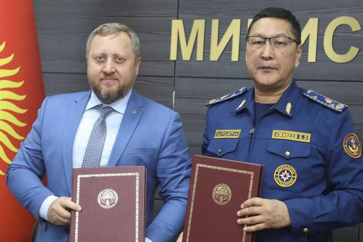 INTERNATIONAL CIVIL DEFENCE ORGANIZATION